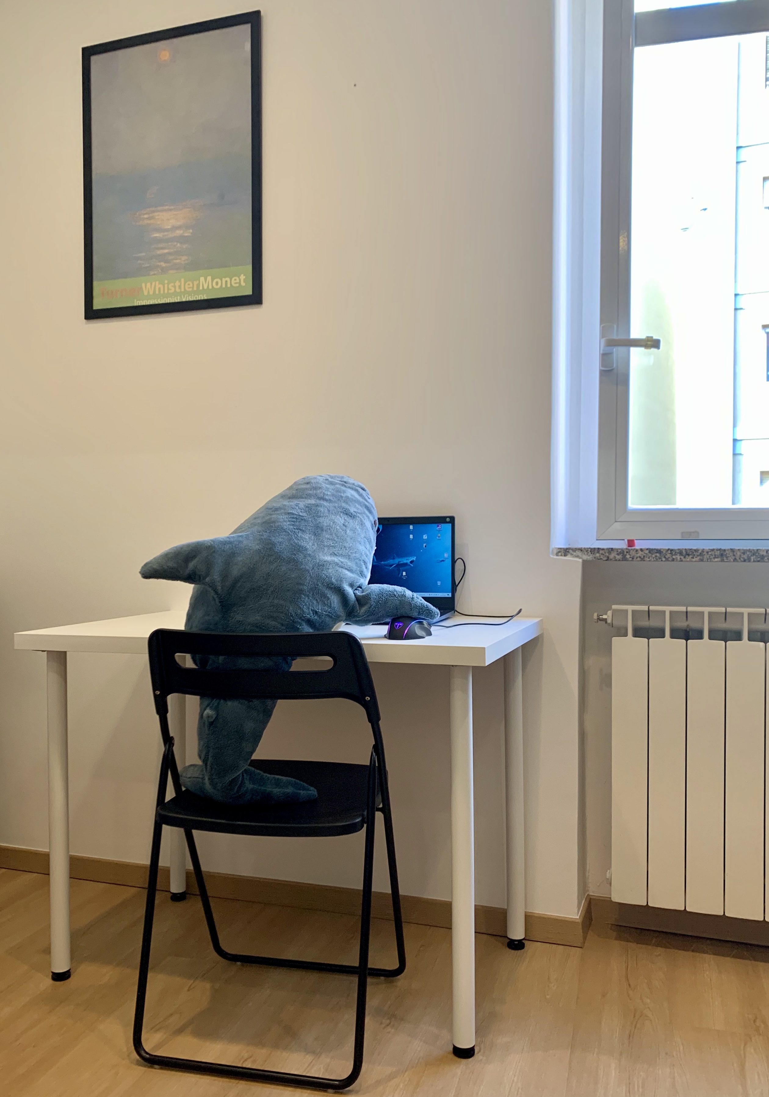 Stelle sulla Terra Trieste – Dislessia, DSA e Difficoltà Scolastiche